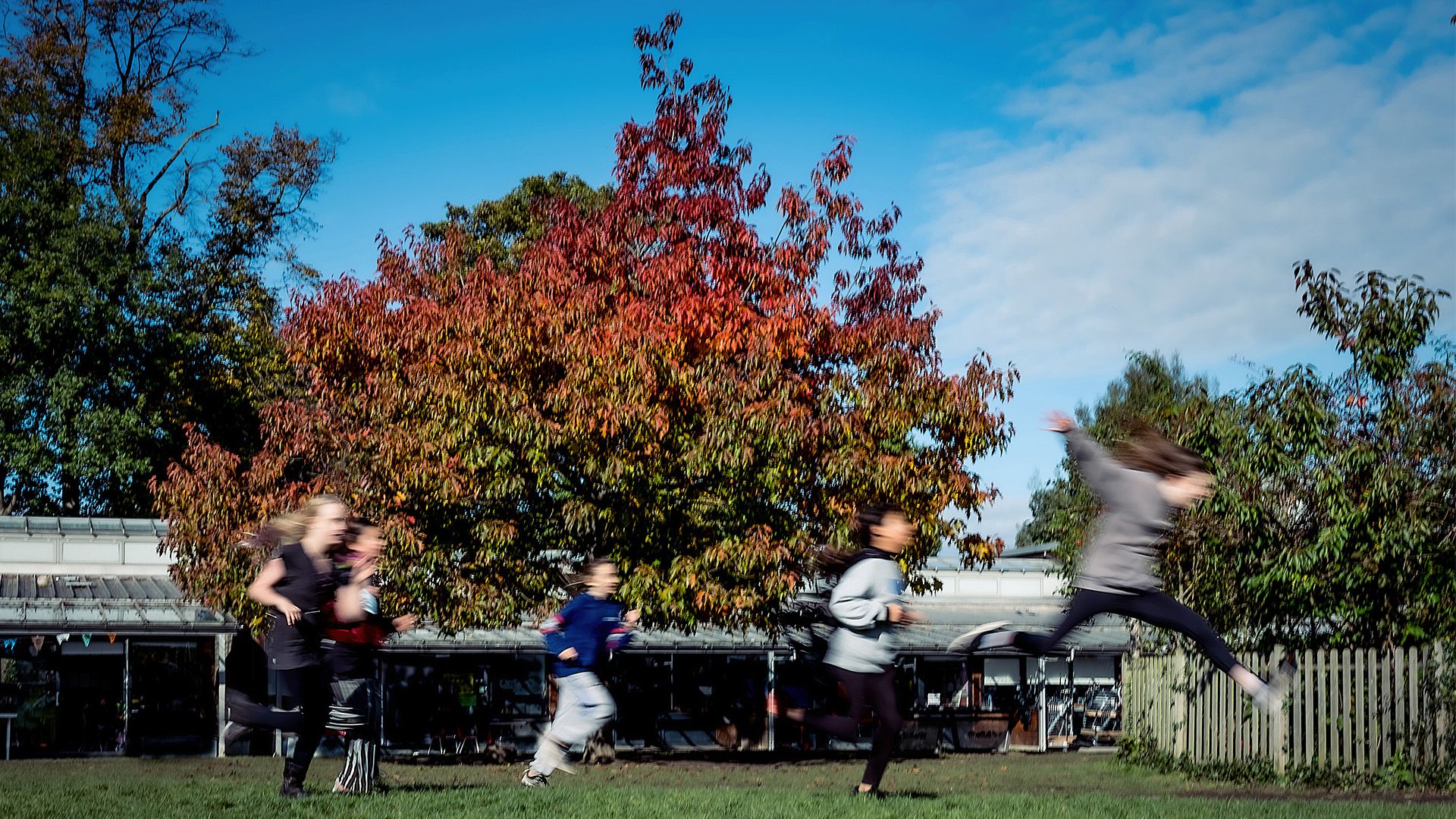 The King Alfred School: Private School in North London | isbi