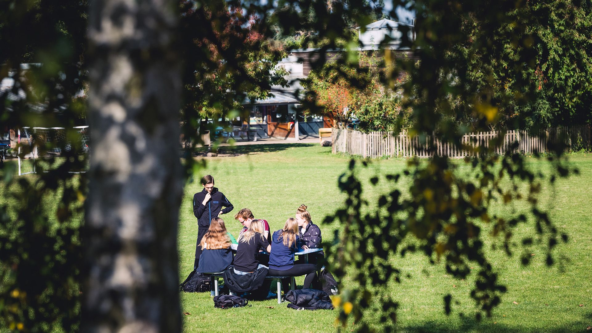 The King Alfred School: Private School in North London | isbi