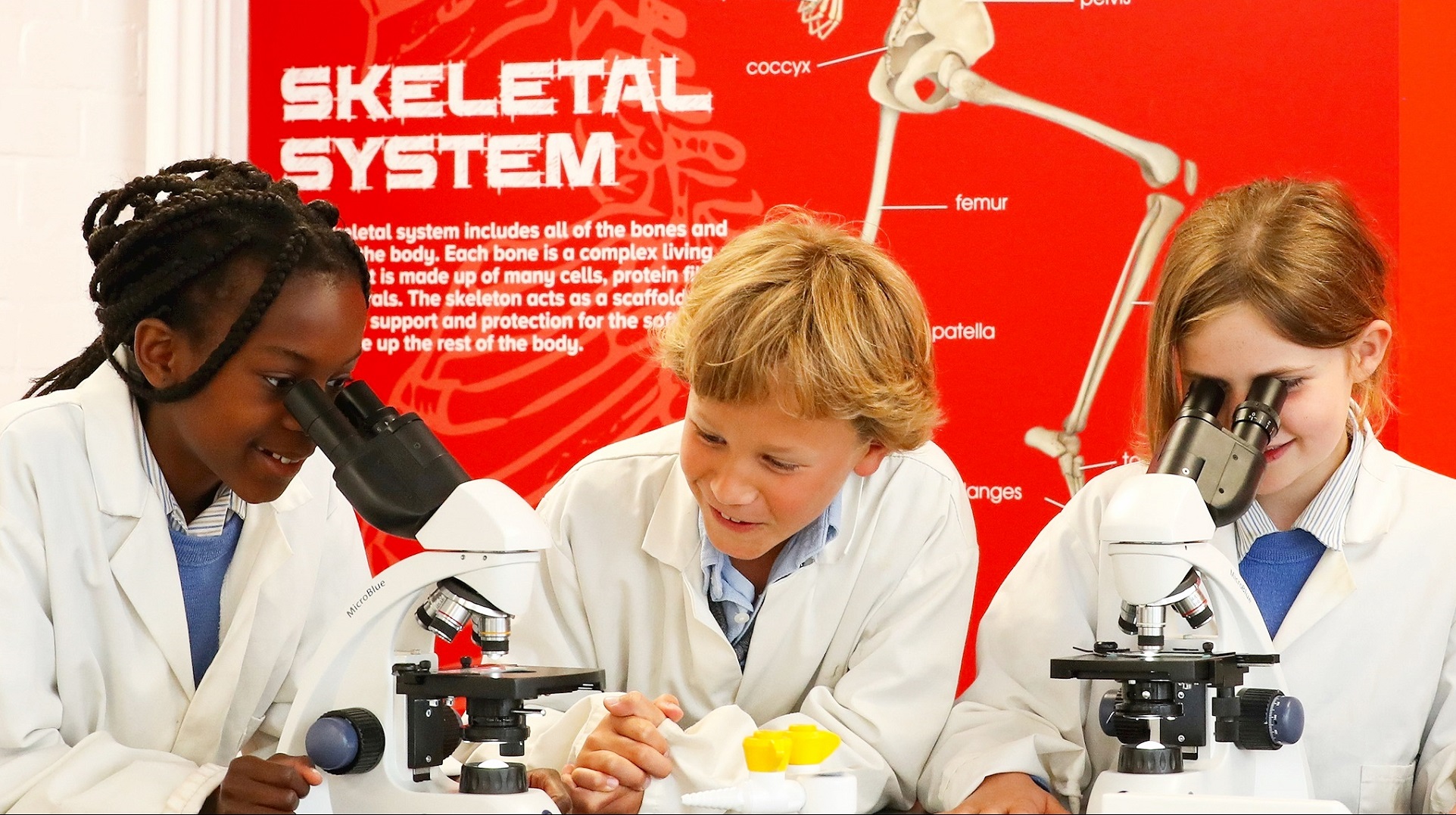 Hazlegrove Preparatory School | Private School in Yeovil