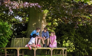 Basic Search Results